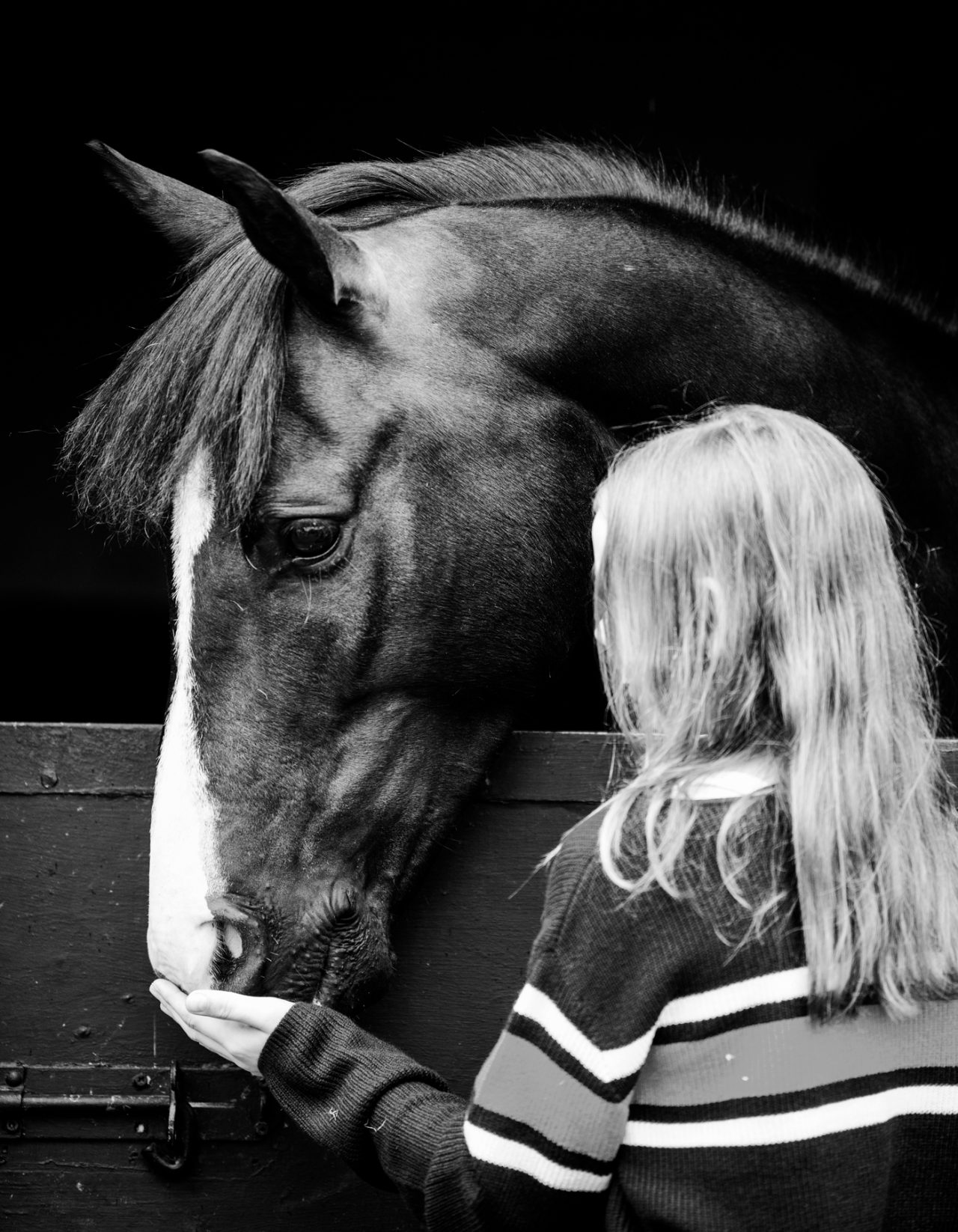 Hannah Freeland Photography – Equine Fine Art Photography – Protecting ...